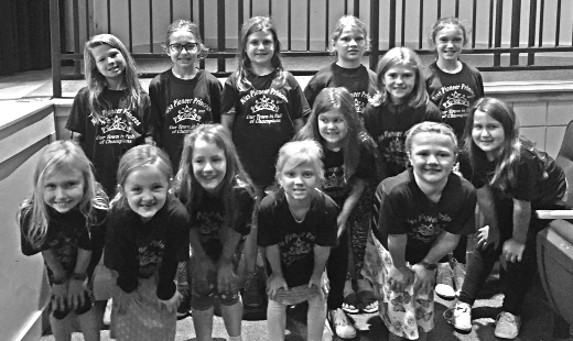 Pioneer Princess pageant planned | News, Sports, Jobs - The Mining Journal